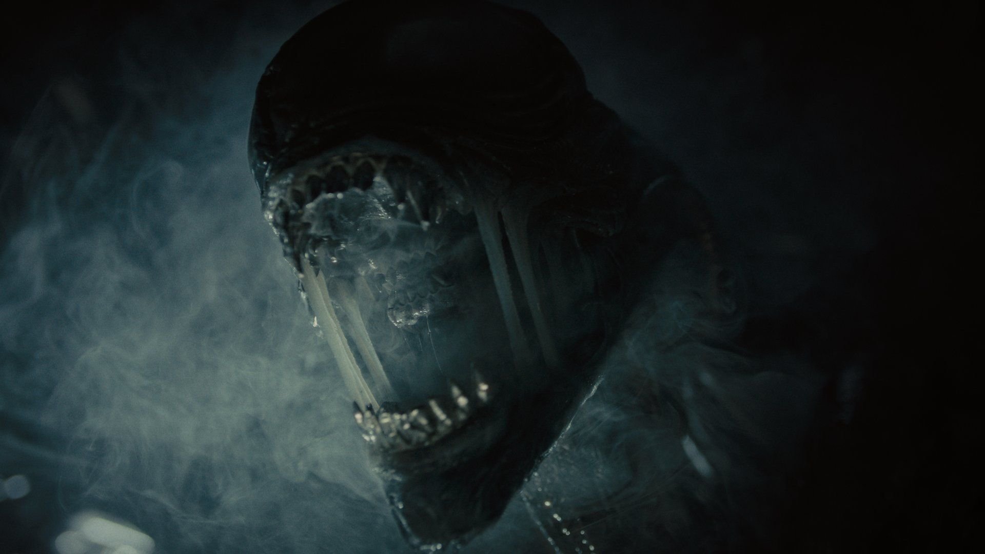 „Alien: Earth“-Finale auf Disney+: Wann startet Folge 8 im Stream?