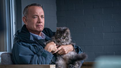 Heute zur Primetime im ZDF: Tom-Hanks-Hit mit 97 % Zustimmung – am Nachmittag kommt das deutlich ...