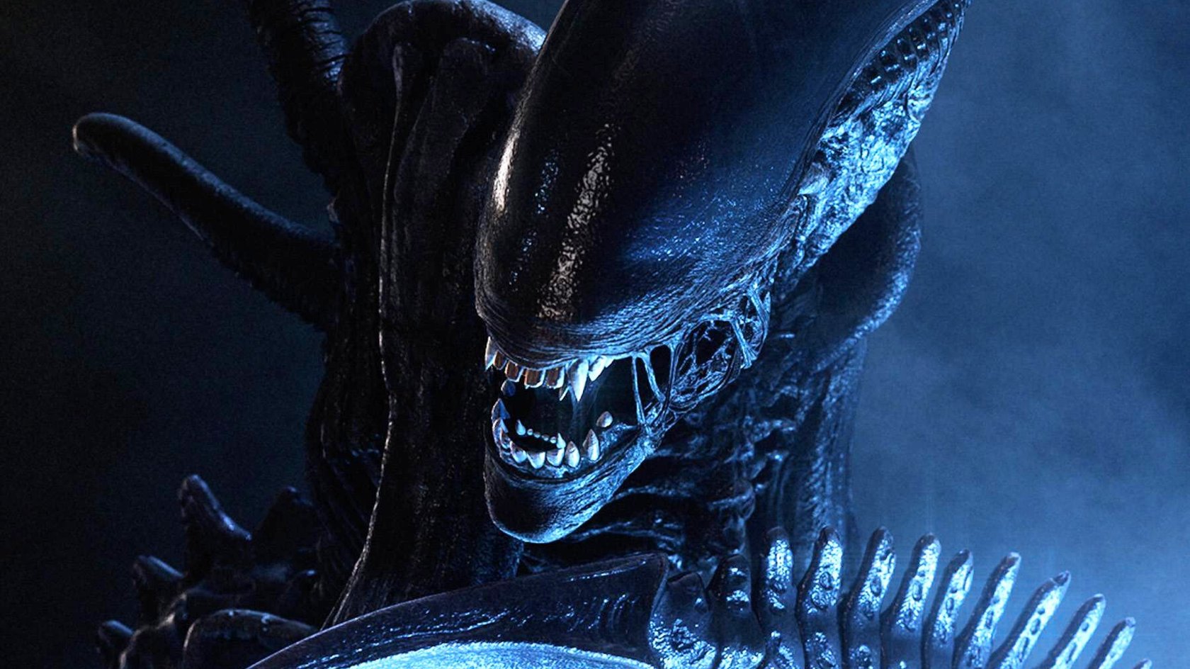 Neuer „Alien“-Film droht zu scheitern: Ridley Scott torpediert die ...