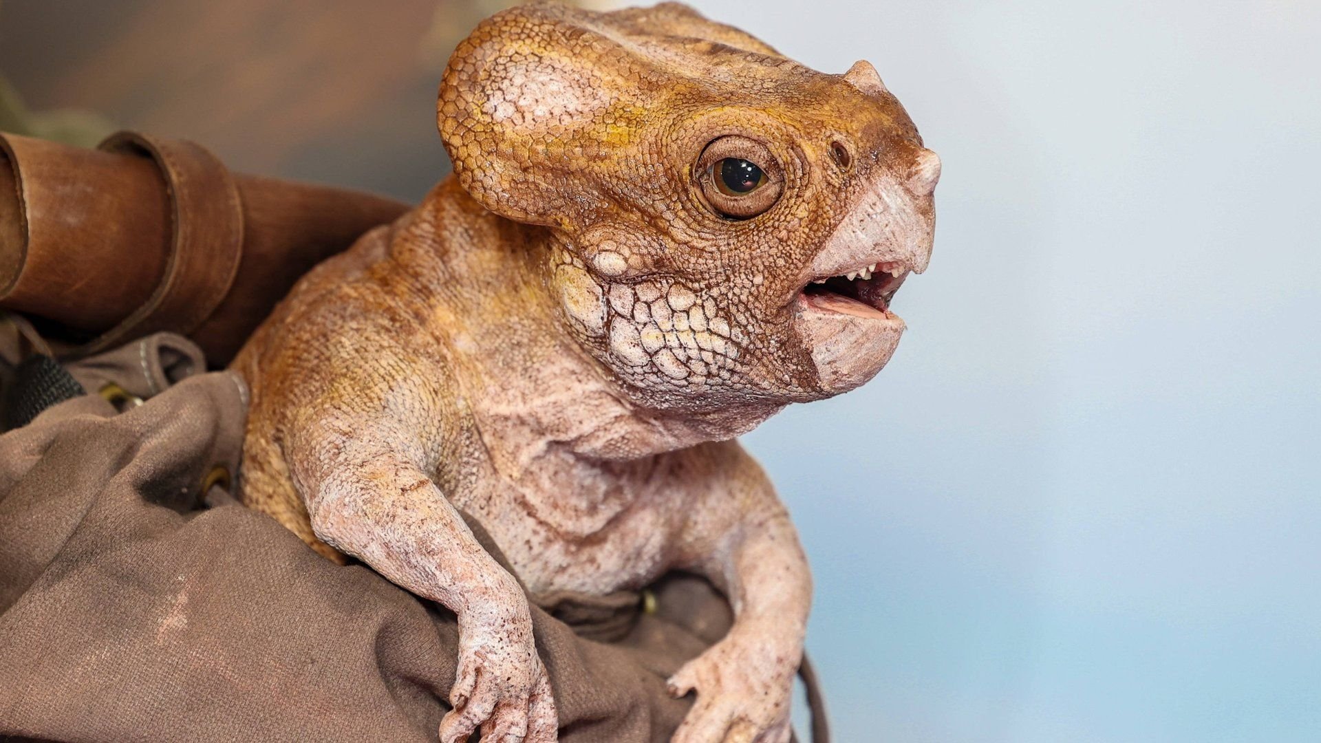 „Jurassic World 4“ ehrt mit Dolores die „echten“ Dinosaurier aus ...