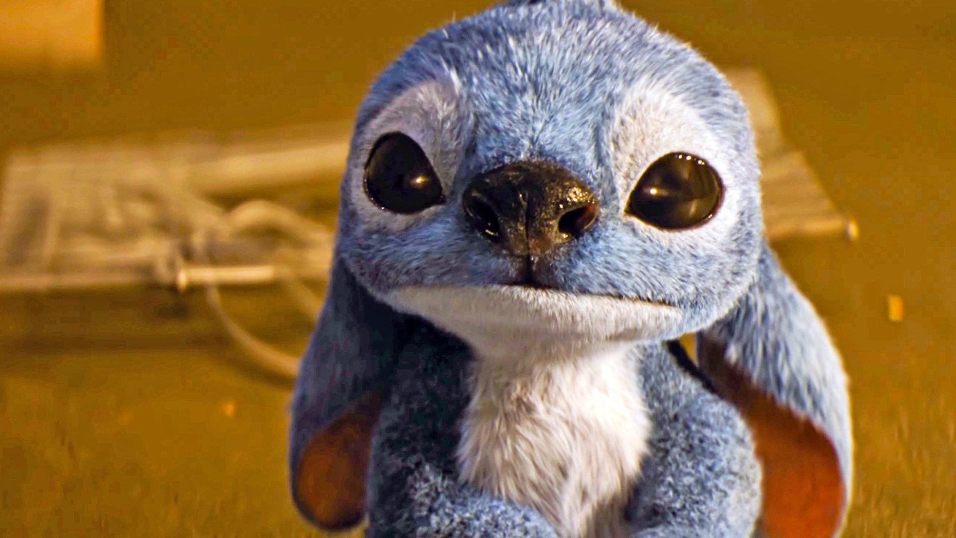 Erste Stimmen sind sich einig: „Lilo & Stitch“ ist der „beste Live-Action-Film von Disney“