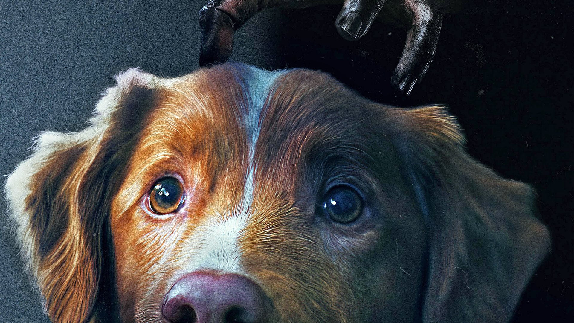 "Ist unter Horrorfilmen wohl einzigartig": Mit diesem Überraschungs-Hit ...