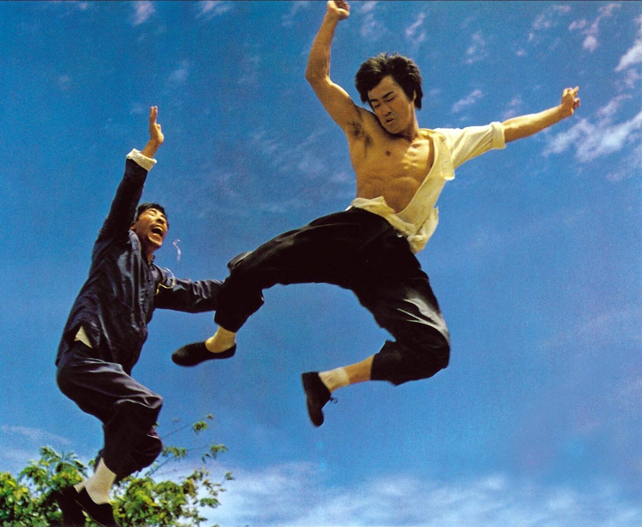 Martial Arts Schauspieler