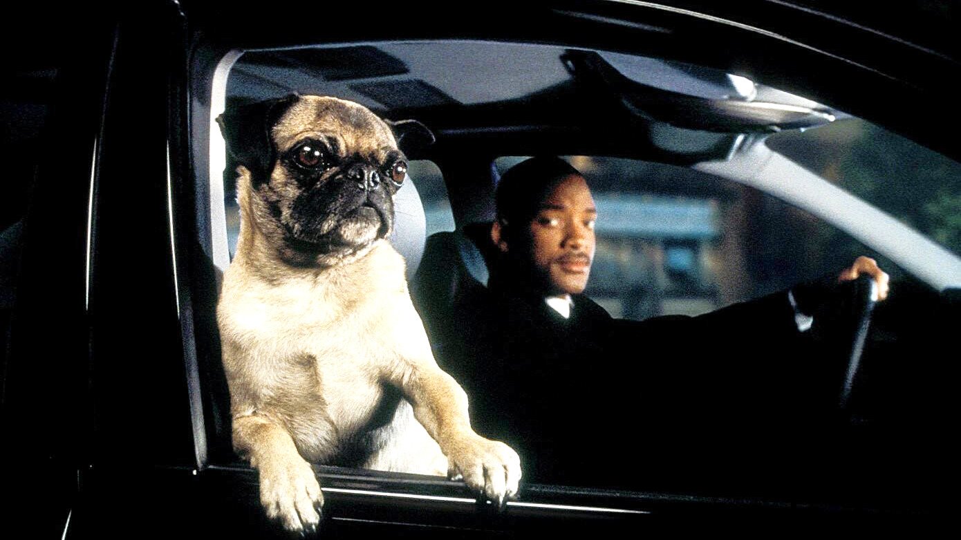 Sci-Fi-Comeback steht jetzt bevor: Will Smith soll in eine seiner ...