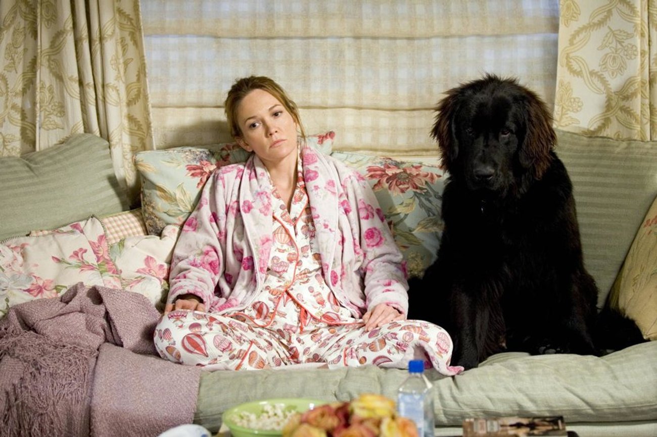 Die 14 besten Hundefilme: Unsere Bestenliste für Hunde-Liebhaber