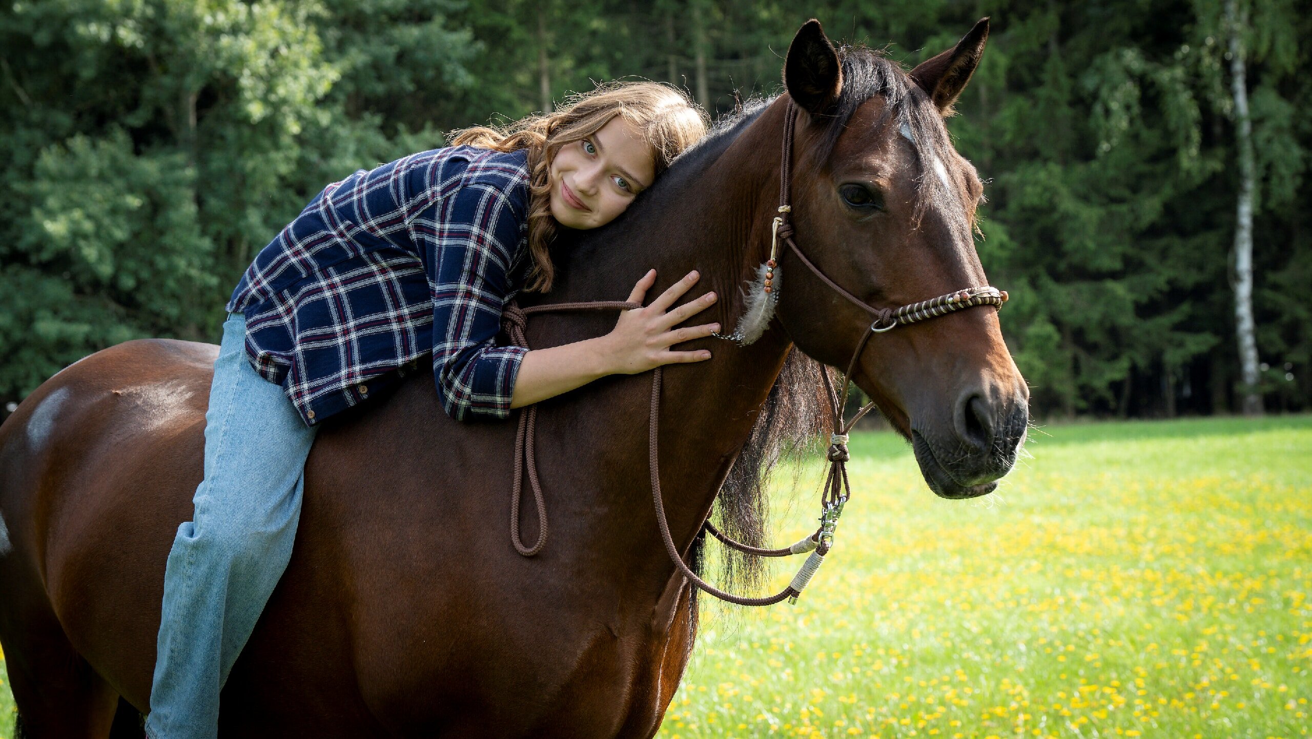 „Ponyherz“-Reihenfolge: Die Buchreihe im Überblick