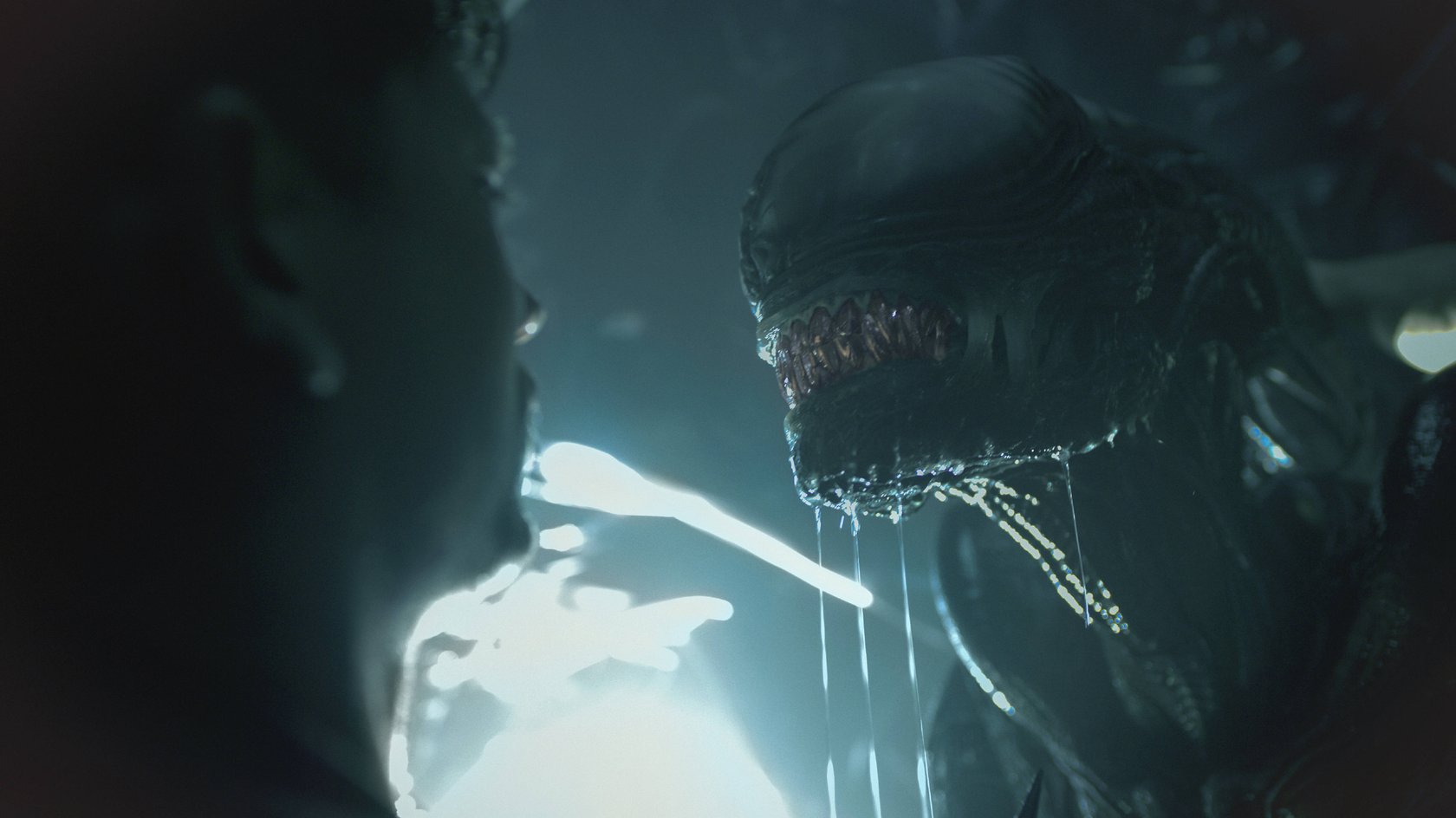 „Alien vs Predator 3“: