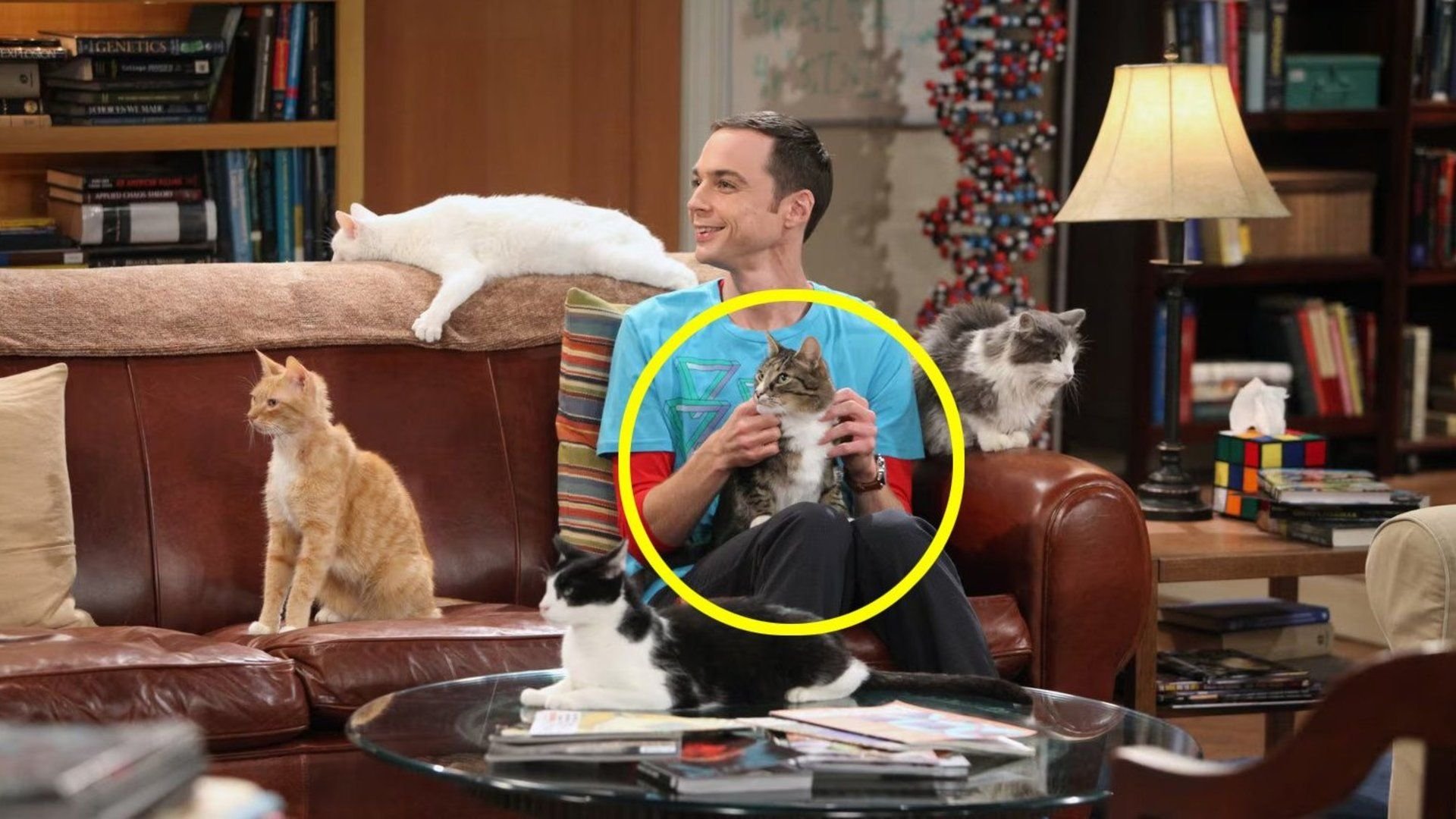 "The Big Bang Theory"-Patzer: Nach drei Staffeln wurde ein wichtiges ...