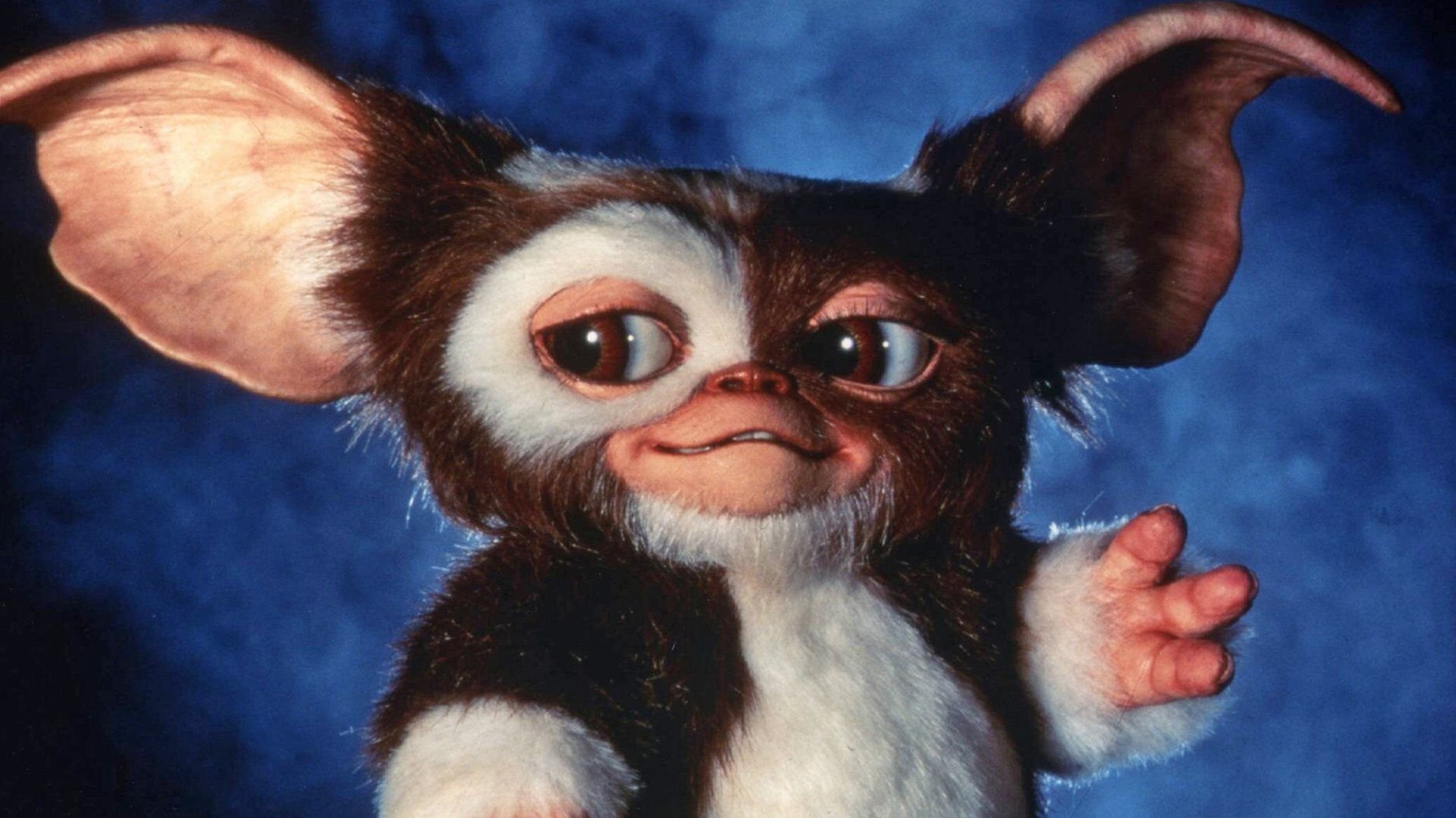 Gremlins sind nach 33 Jahren zurück: Seht den ersten Trailer zu ...