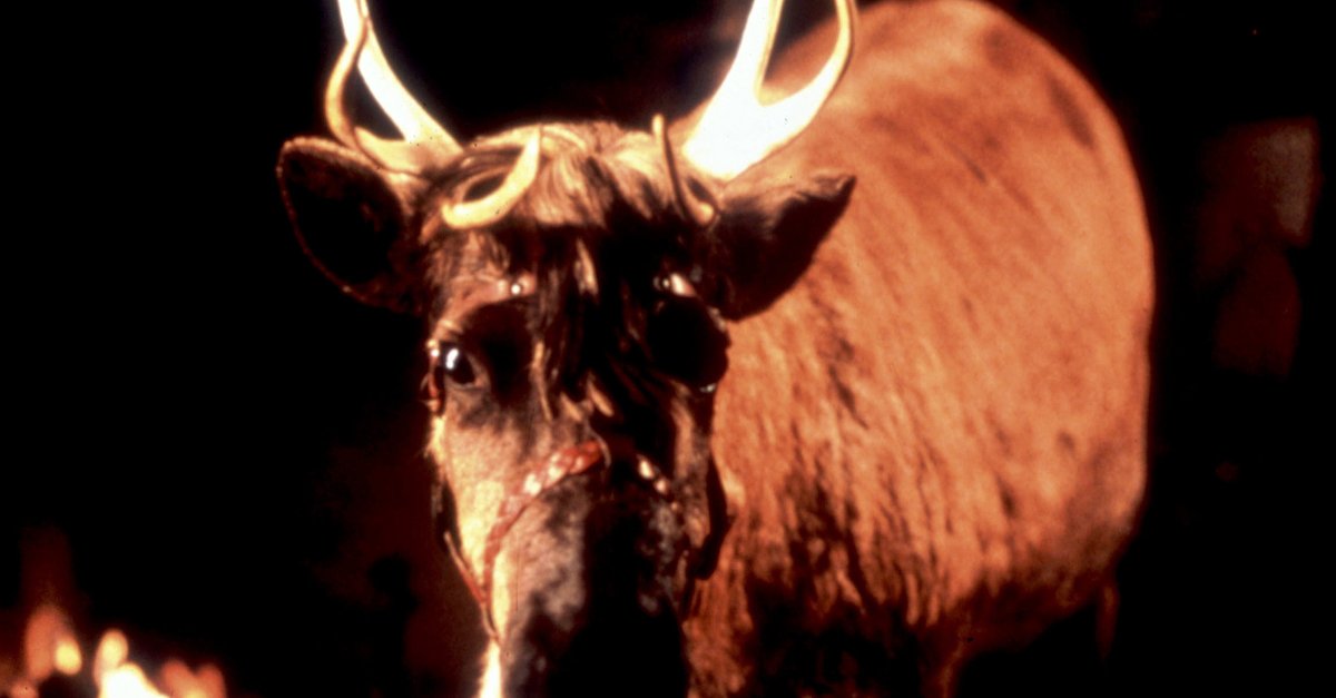 Blizzard · Film 2004 · Trailer · Kritik