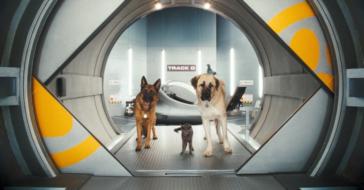 Cats & Dogs - Die Rache der Kitty Kahlohr · Film 2010 · Trailer · Kritik