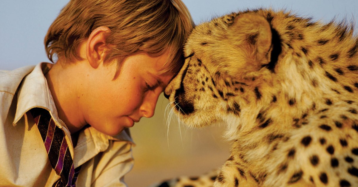 Duma · Film 2005 · Trailer · Kritik