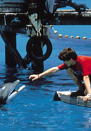 Flipper · Film 1996 · Trailer · Kritik