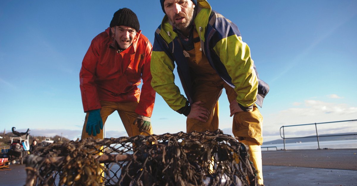 Grabbers · Film 2012 · Trailer · Kritik