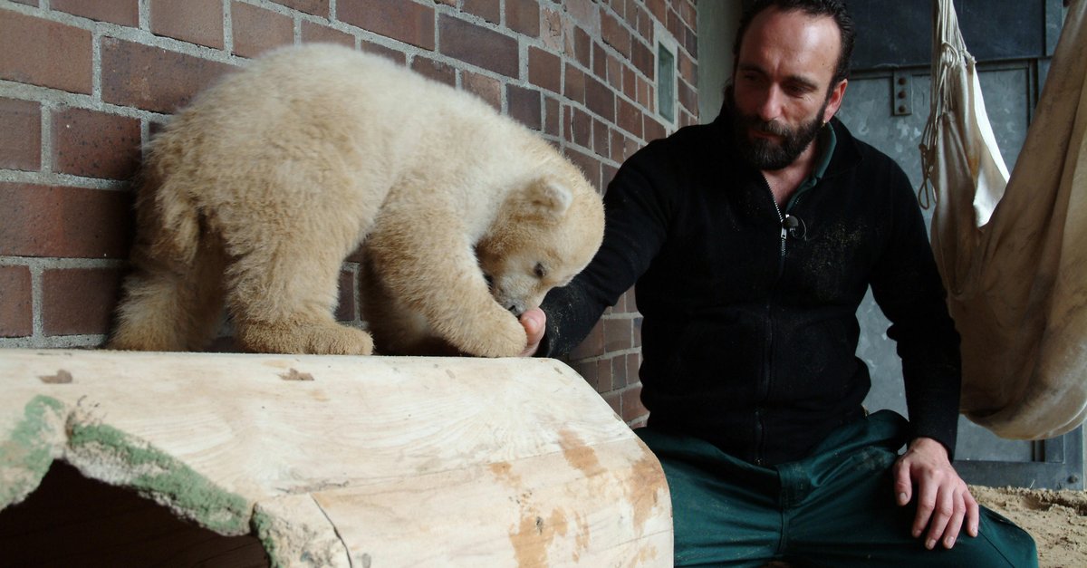 Knut und seine Freunde · Film 2008 · Trailer · Kritik