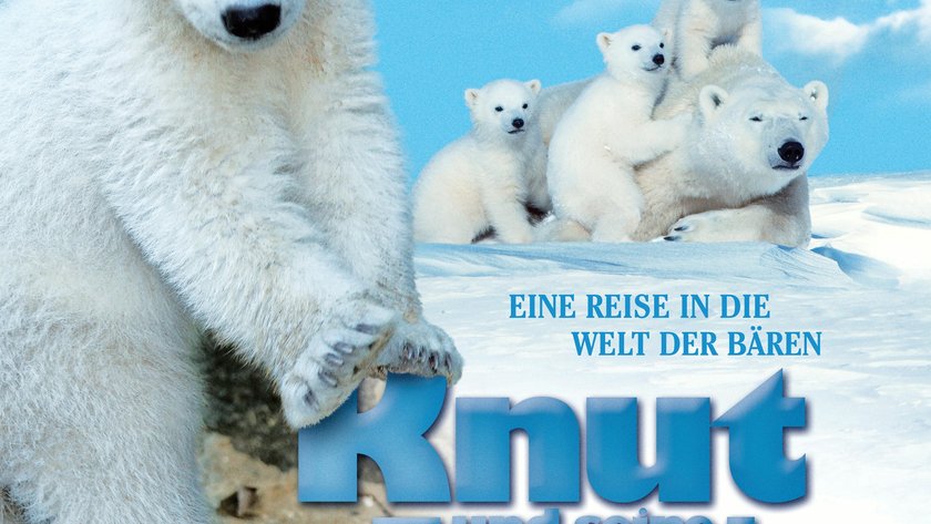 Knut und seine Freunde · Film 2008 · Trailer · Kritik