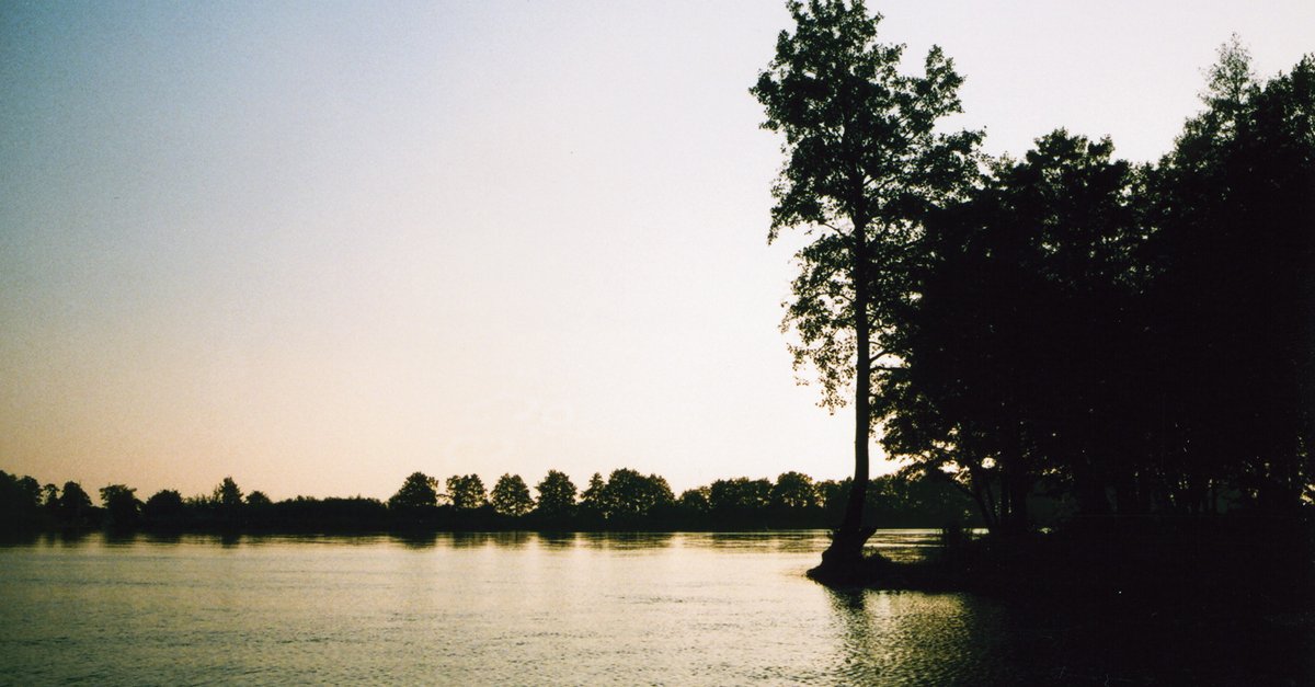 Memelland Film (2008) · Trailer · Kritik · KINO.de