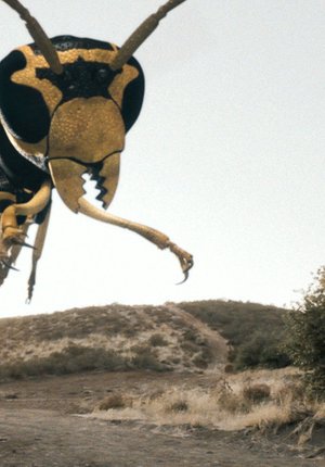 The Vortex · Film 2014 · Trailer · Kritik