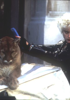 Who's That Girl Film (1987) · Trailer · Kritik · KINO.de