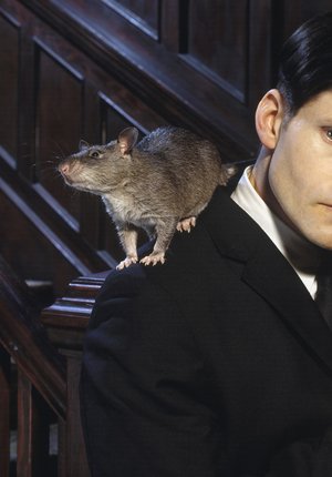 Willard · Film 2003 · Trailer · Kritik