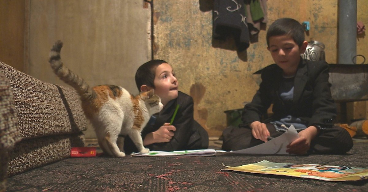 Holy Cow · Film 2018 · Trailer · Kritik