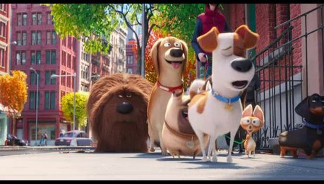 Pets Film (2016) · Trailer · Kritik · KINO.de