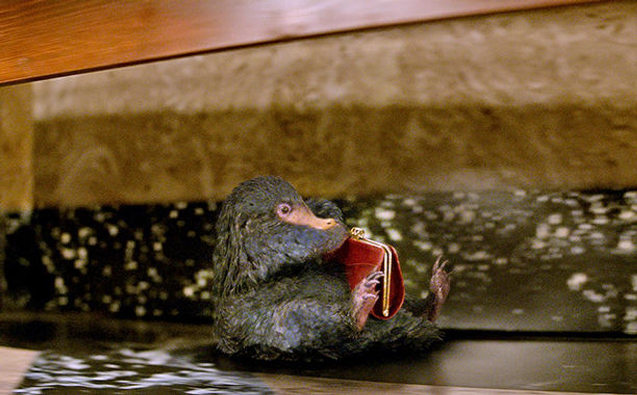 „Phantastische Tierwesen“: Das sind die Monster des neuen „Harry Potter ...