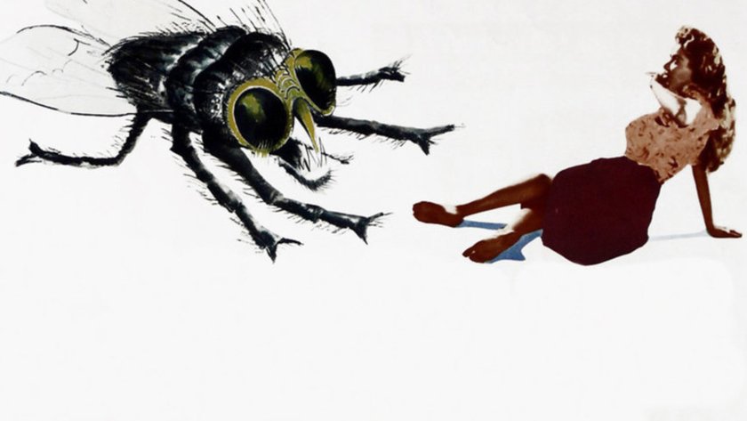 Die Fliege · Film 1958 · Trailer · Kritik