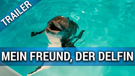 Mein Freund, der Delfin Film (2011) · Trailer · Kritik · KINO.de