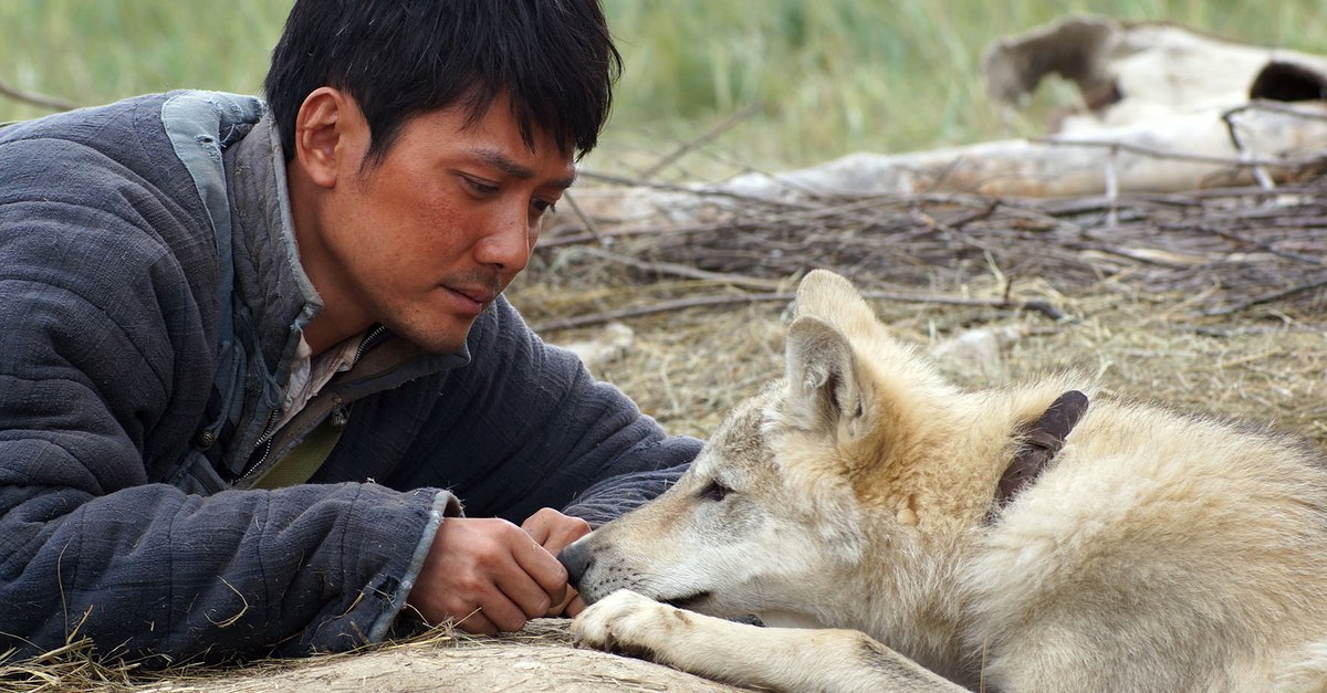 Der Letzte Wolf Film 2015 Trailer Kritik der-letzte-wolf-film-2015-trailer-kritik