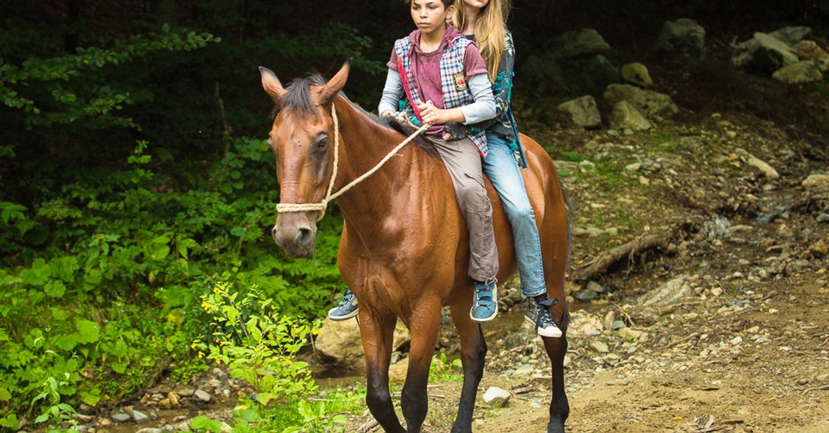 Nellys Abenteuer · Film 2016 · Trailer · Kritik