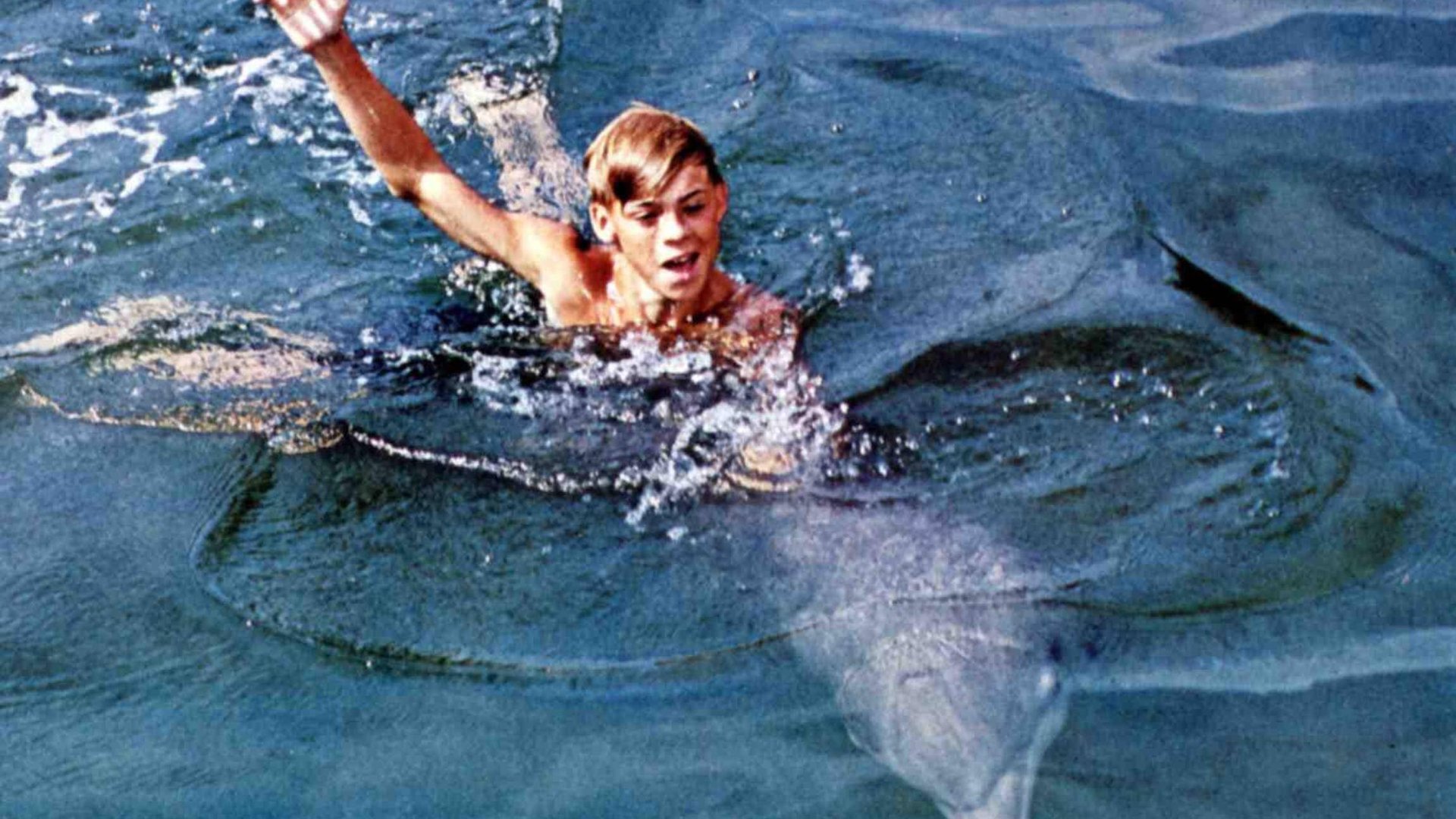 58 Jahre später: So sieht „Flippers“ Freund Sandy Ricks heute aus