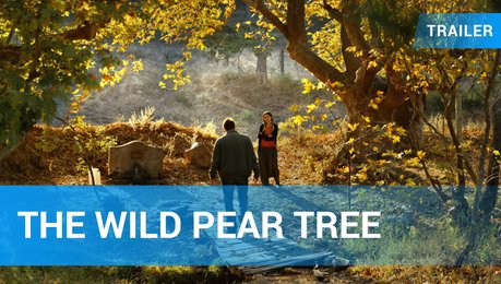 The Wild Pear Tree Film (2018) · Trailer · Kritik · KINO.de