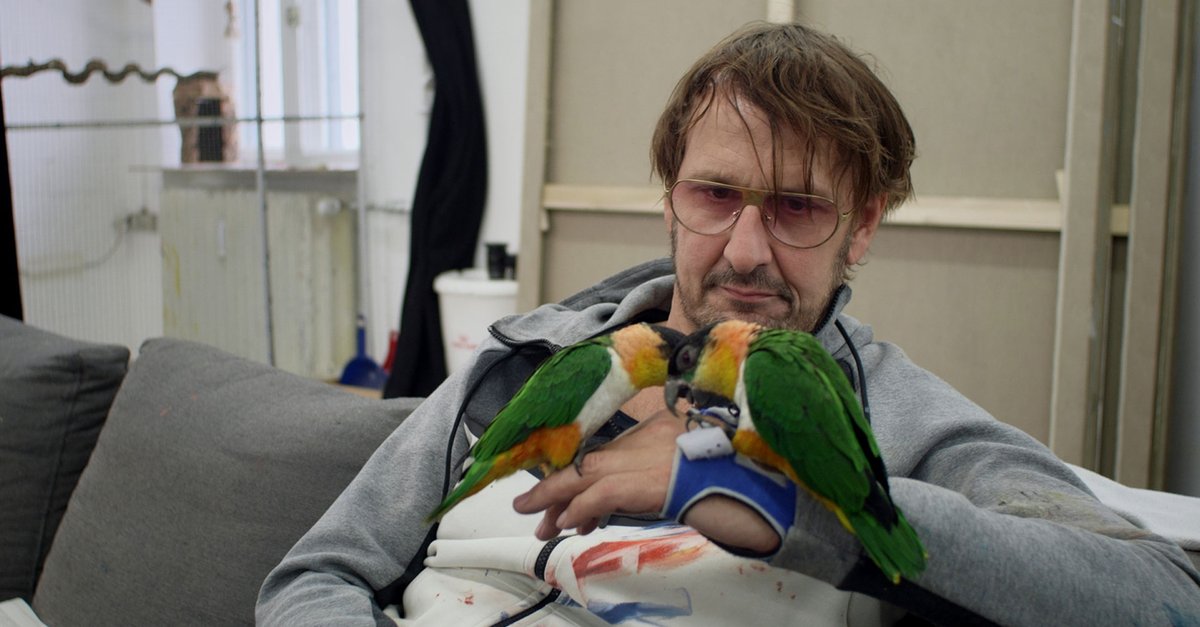 Daniel Richter · Stream | Streaminganbieter