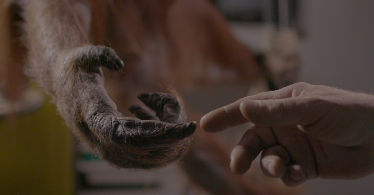 The Second Life - Das zweite Leben · Film 2022 · Trailer · Kritik