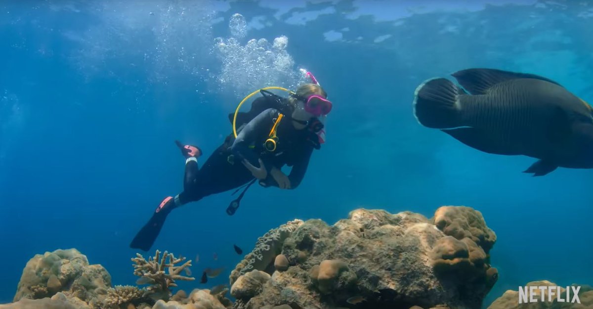 „Dive Club“ Staffel 2: Wird es eine Fortsetzung der Netflix-Teenie ...