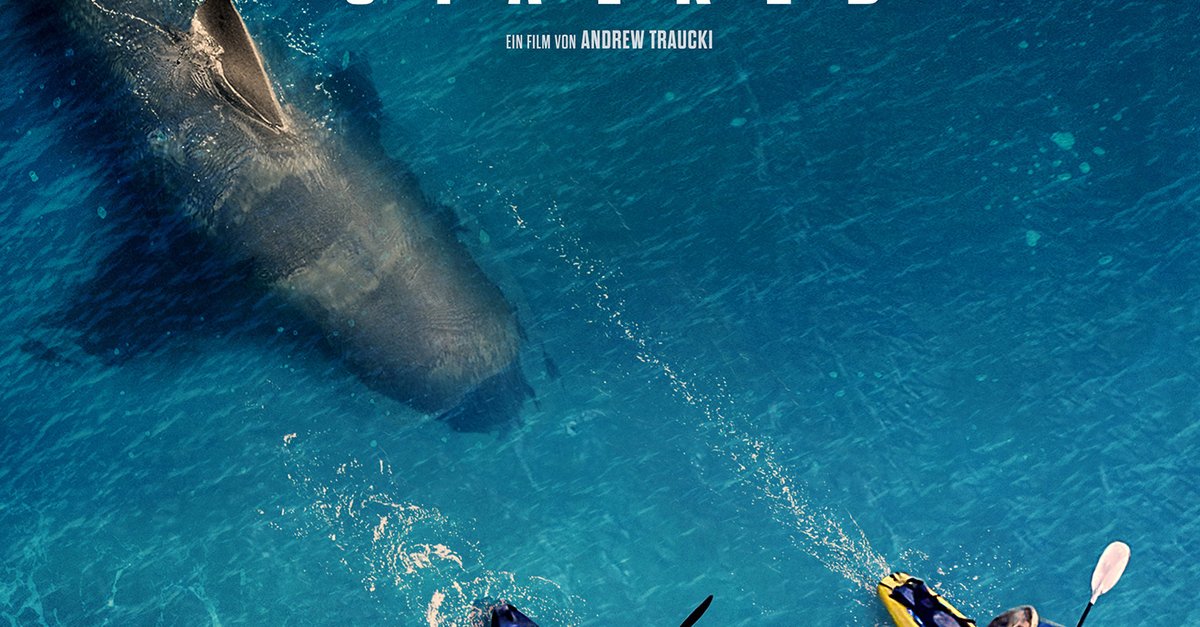 The Reef: Stalked · Film 2022 · Trailer · Kritik