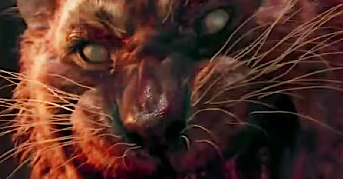 Nur etwas für abgehärtete Horror-Fans: Mutanten-Tiger treffen auf „The ...