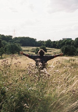 Bird · Film 2025 · Trailer · Kritik