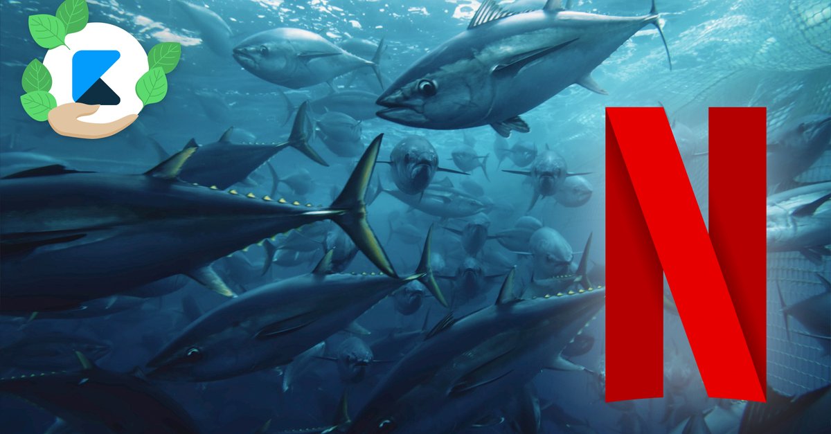 Netflix vermiest dem Publikum die Lust auf Fisch – und das ist gut so