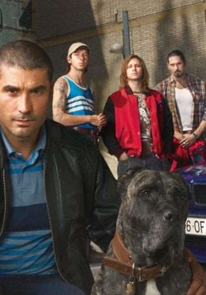 Gangs of Madrid · Serie im Stream online ansehen, alle Anbieter und News