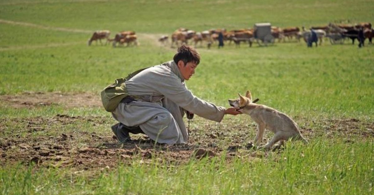 Der letzte Wolf · Film 2015 · Trailer · Kritik