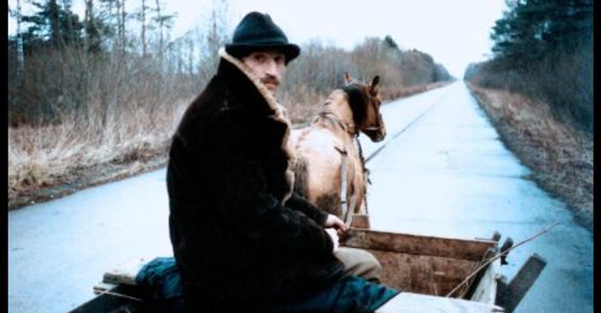 Kalte Heimat · Stream | Streaminganbieter