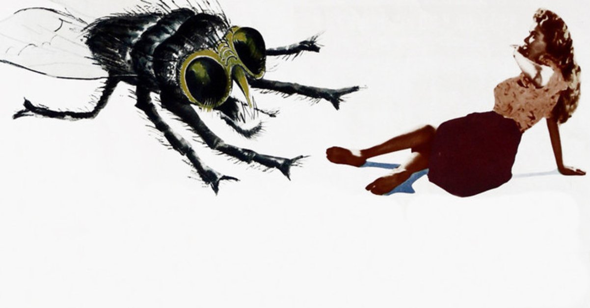 Die Fliege · Film 1958 · Trailer · Kritik