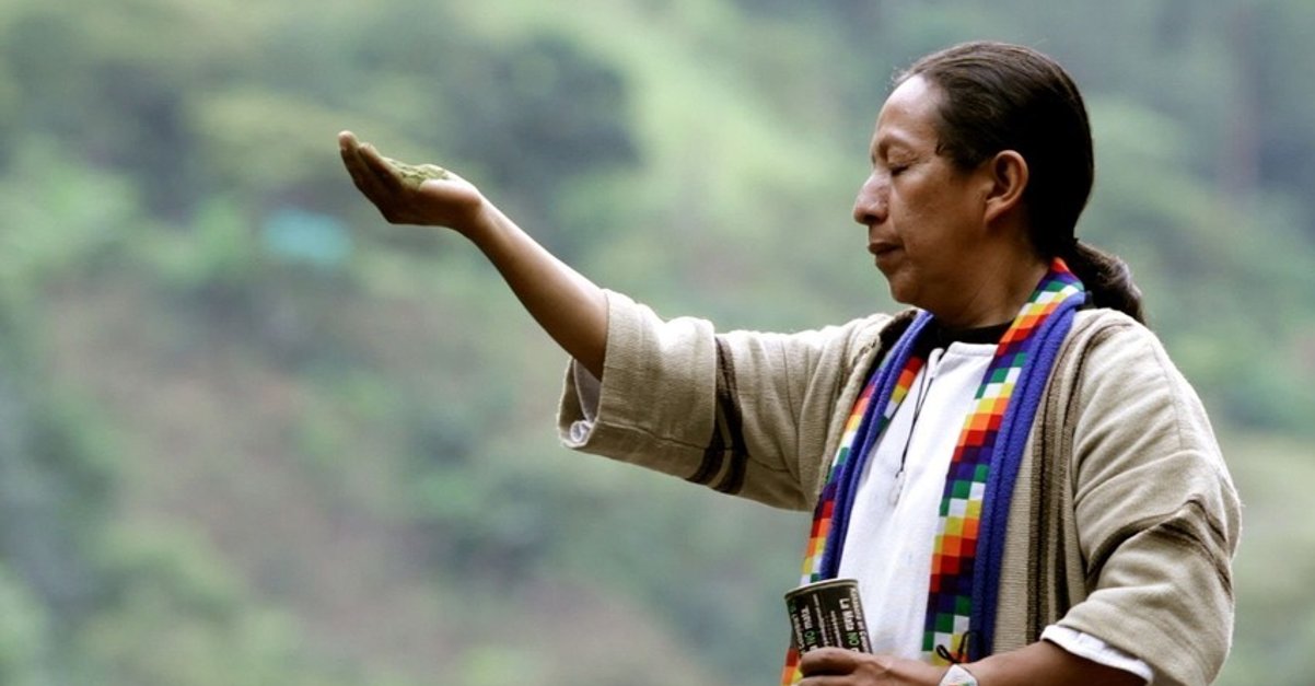 Mama Coca · Film 2012 · Trailer · Kritik