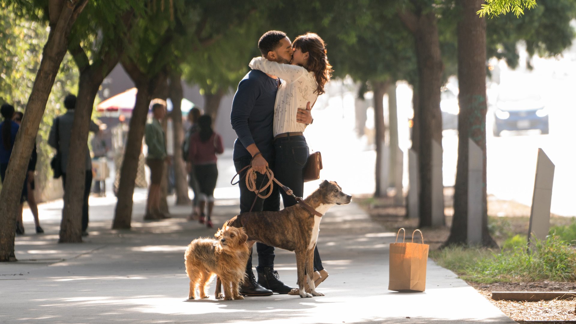 Dog Days · Film 2018 · Trailer · Kritik