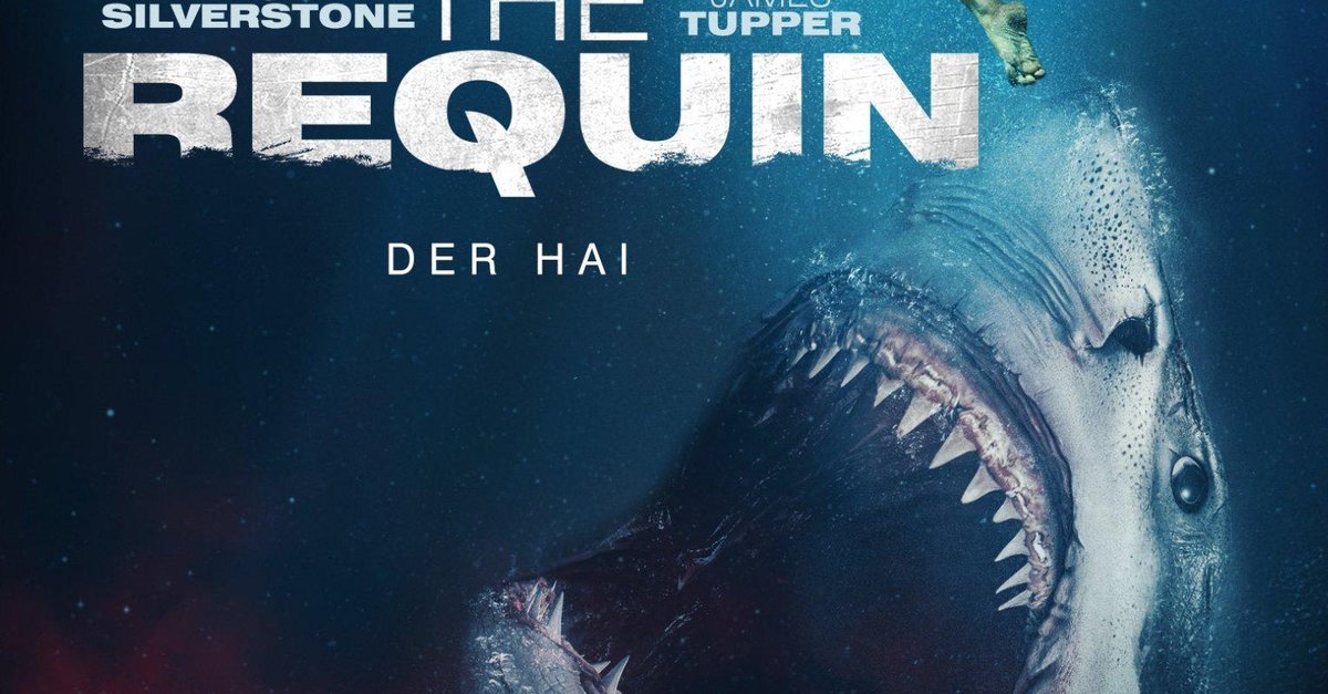 The Requin · Film 2022 · Trailer · Kritik