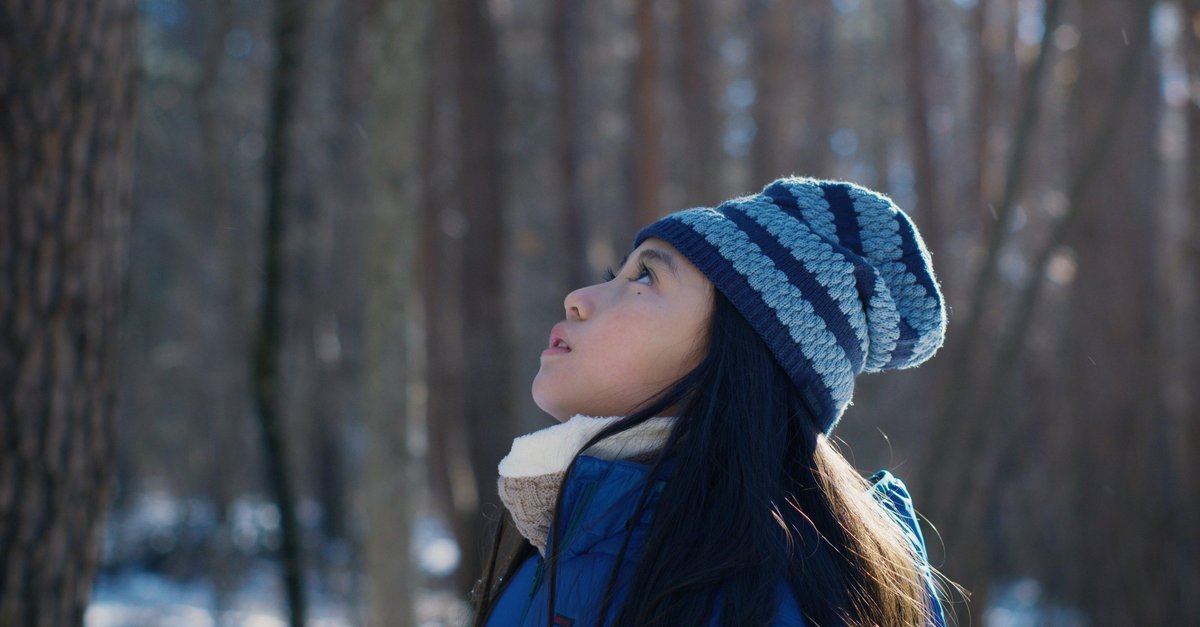 Evil Does Not Exist · Film 2024 · Trailer · Kritik