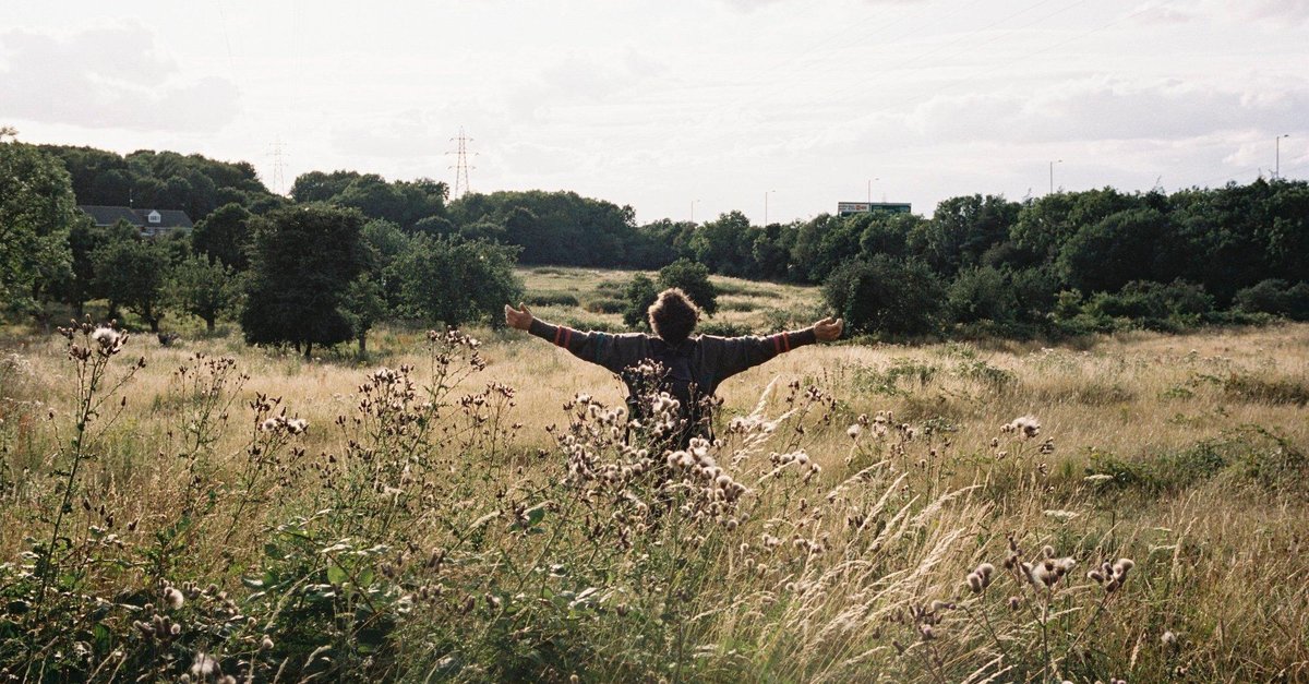 Bird · Film 2025 · Trailer · Kritik