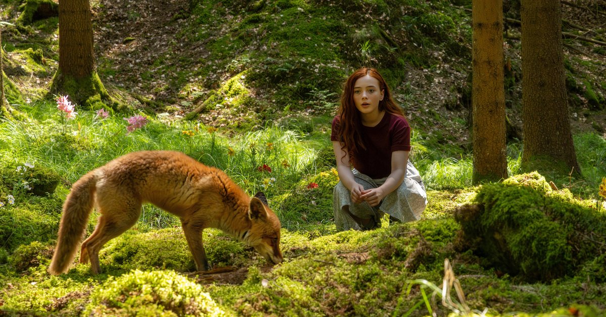 Ein Mädchen namens Willow · Stream | Streaminganbieter